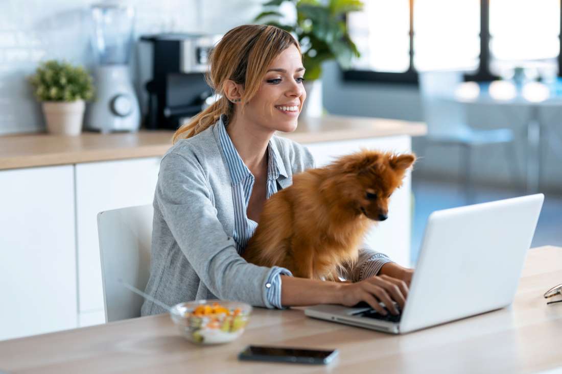 Puppy Search Services | Barkera Corp.™